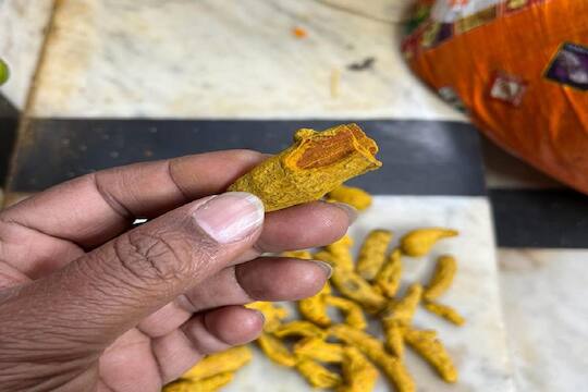 Halud গোটা হলুদ বাড়িতে এনে গুঁড়ো করছেন বা বাটছেন? বড় বিপদ ...