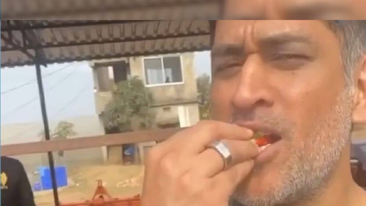 ms dhoni smoking hookah in a party, পার্টিতে হুক্কা টানছেন এম এস ধোনি ...