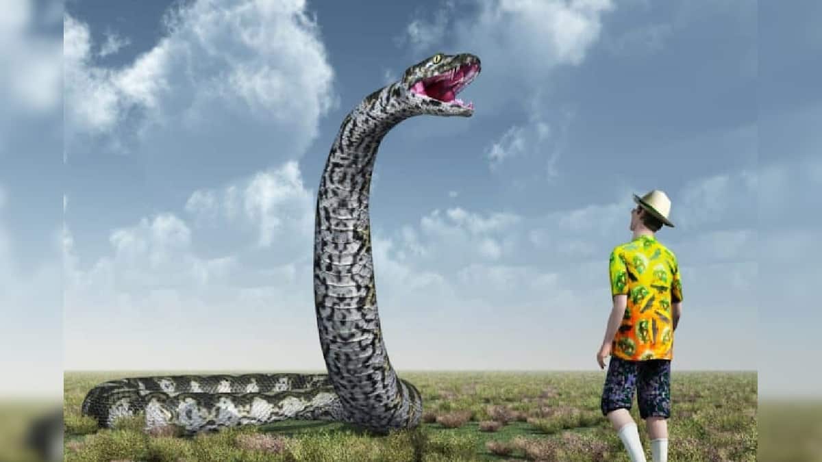 know about titanoboa snake world's biggest animal, টাইটানোবোয়া সাপ ছিল ...