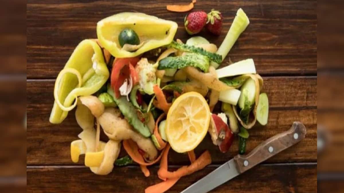 Benefits of Vegetable Peels: ৫টি সবজির খোসা পুষ্টিগুণের খনি, ফেলে দেবে ...