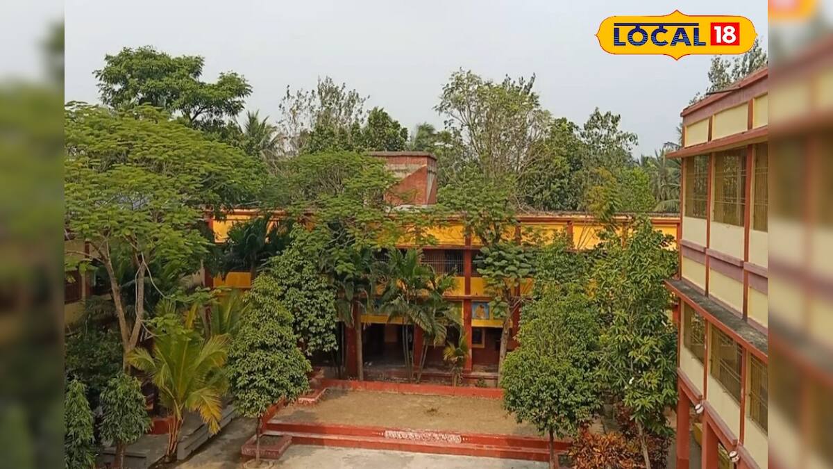 স্কুলের মধ্যে বেড়ে উঠছে আড়াই হাজার গাছ | Bengali news more than two ...