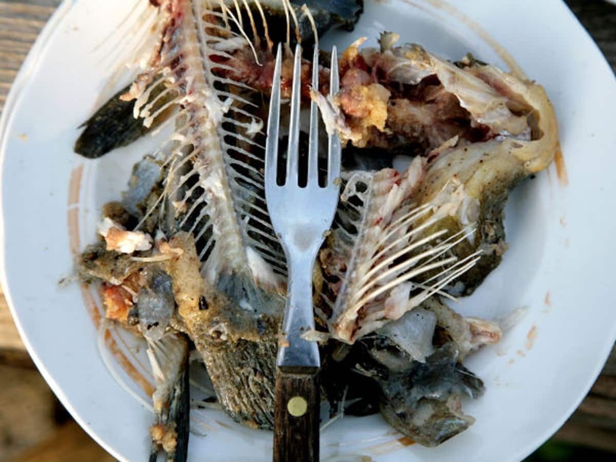 Fish Bone Stuck In Throat | গলায় মাছের কাঁটা বিঁধলেই শুকনো ভাত বা কলা ...