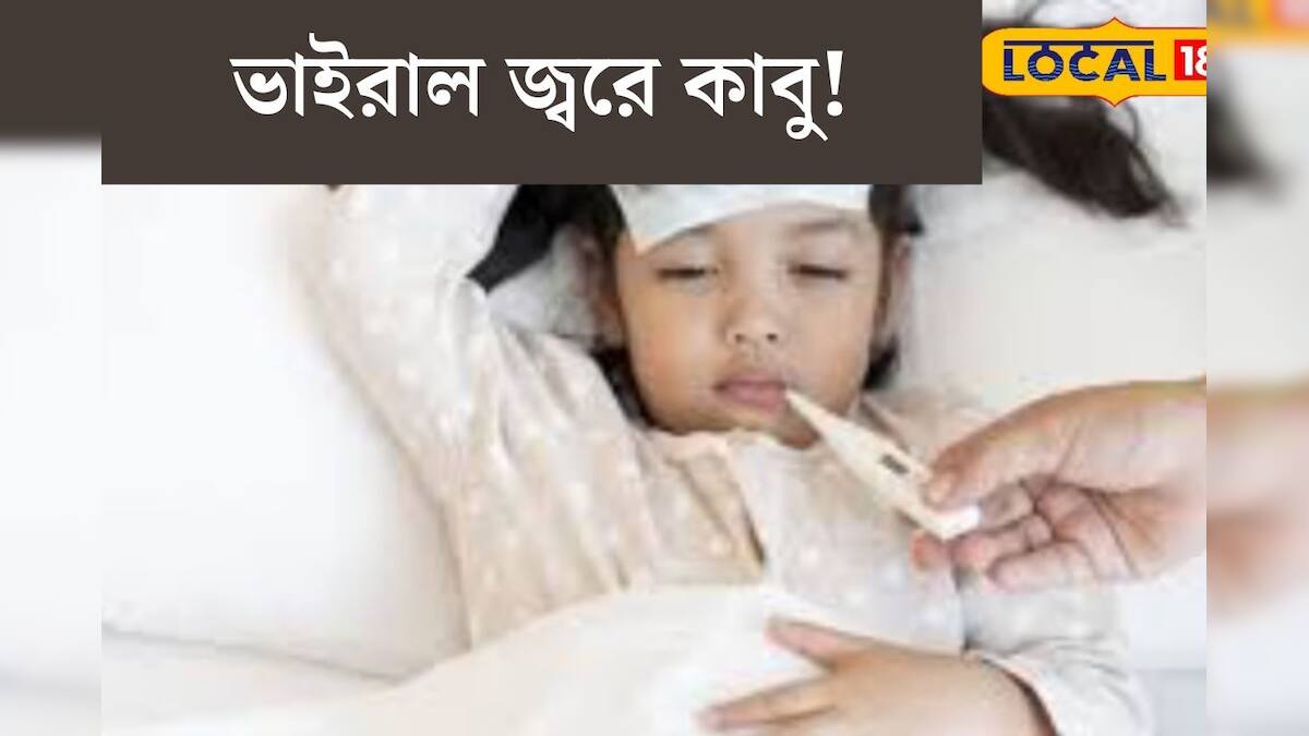 Viral Fever: ভাইরাল জ্বরে কাবু! খাবারের মেনুতে আনুন ছোট্ট বদল, তাতেই ...