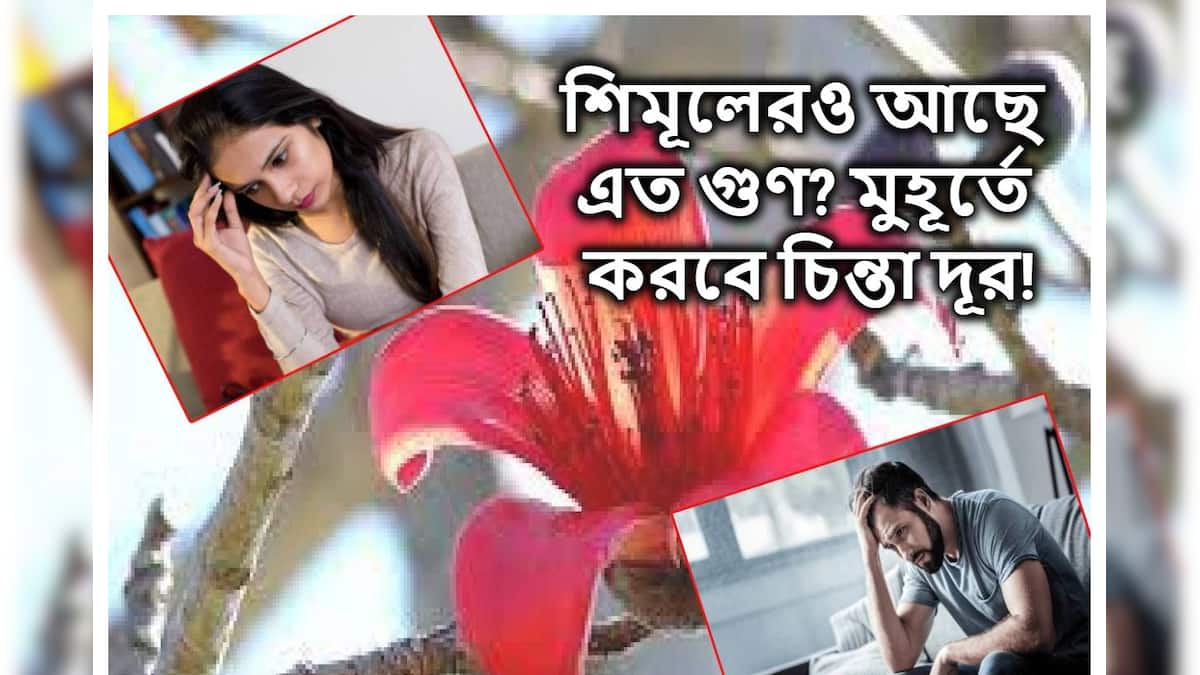 Shimul Benefit: মহিলাদের ‘এই’ সমস্যায় অত্যন্ত কাজে দেয় ‘শিমূল ...