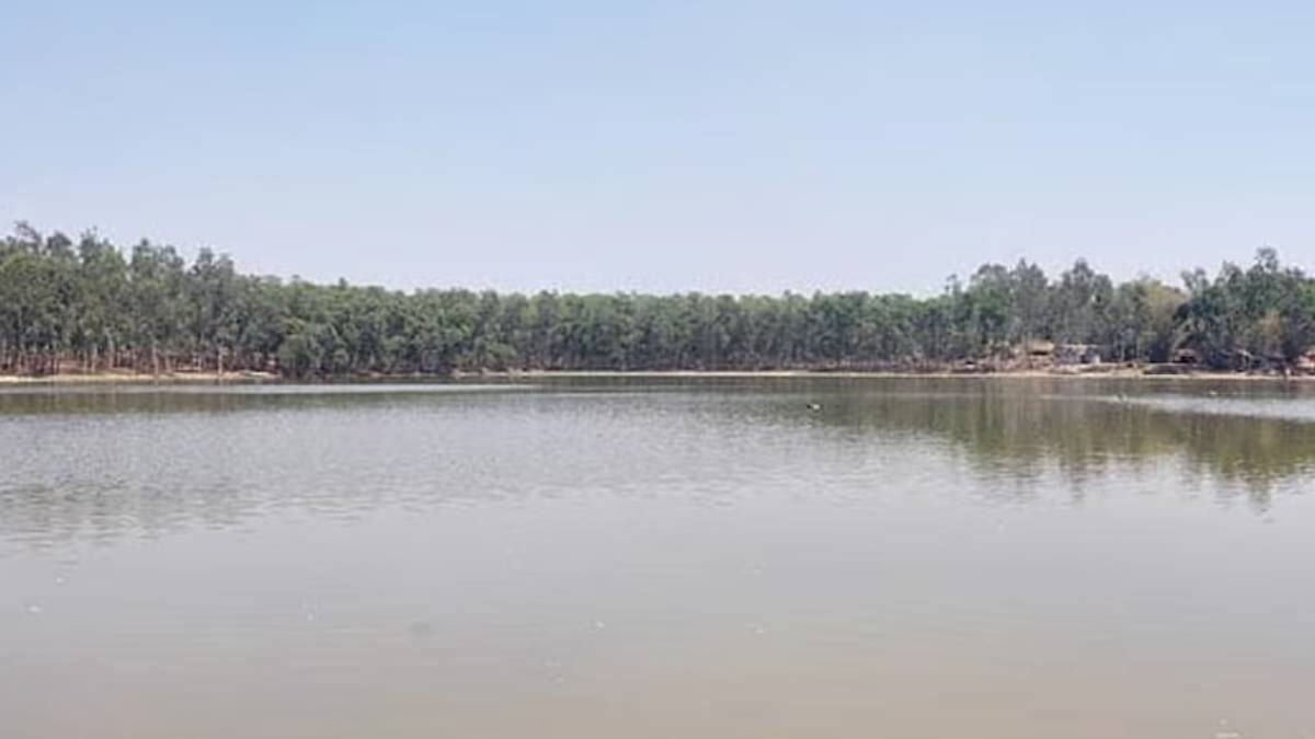 Hooghly: তাঁদের গ্রামের অপুদুর্গাও কাশবনের মধ্যে দিয়ে ছুটে যাক ...