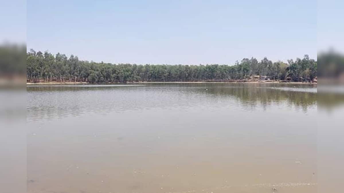 Hooghly: তাঁদের গ্রামের অপুদুর্গাও কাশবনের মধ্যে দিয়ে ছুটে যাক ...
