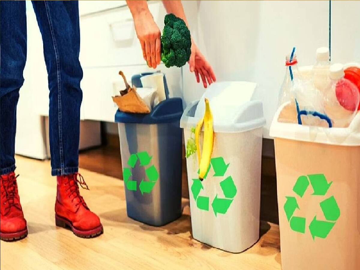 Tulsi Gach | তুলসি গাছের আশপাশে 'এই' ৬ জিনিস কোনওদিন ভুলেও রাখবেন না ...