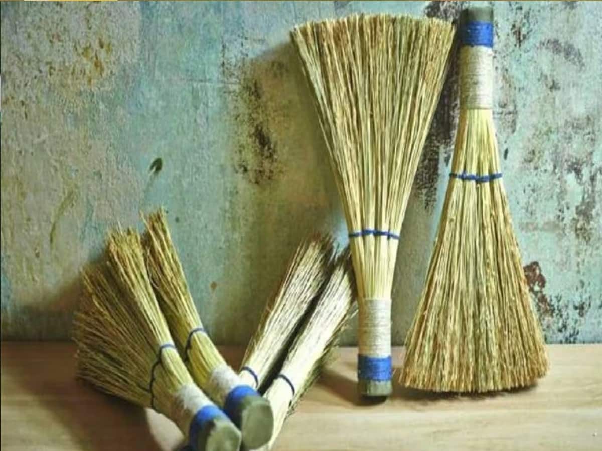 Tulsi Gach | তুলসি গাছের আশপাশে 'এই' ৬ জিনিস কোনওদিন ভুলেও রাখবেন না ...