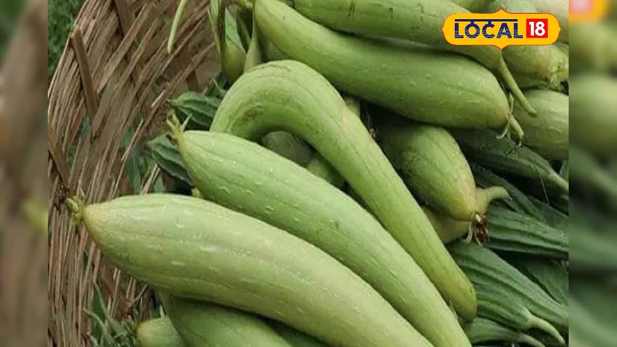 Healthcare: ঝিঙের মতো দেখতে এই সবজি খেলেই কমবে ওজন! সুস্থ থাকবে হার্ট ...