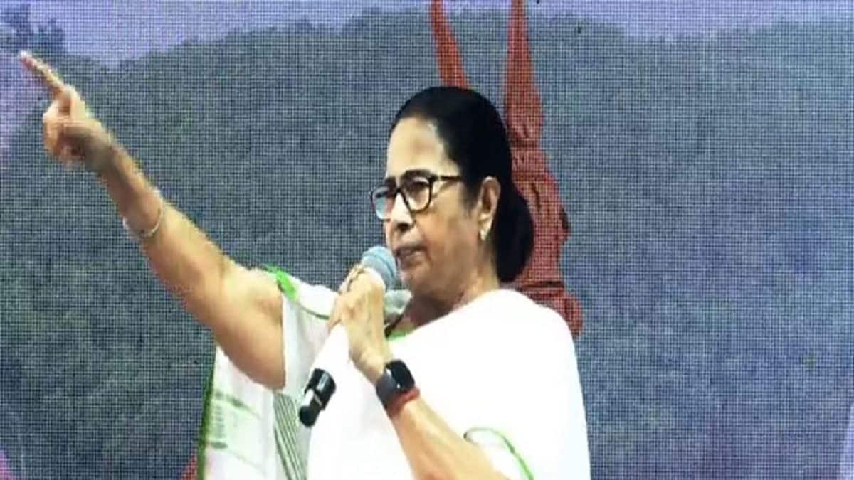 Mamata Banerjee: 'দিল্লির ভিক্ষা চাই না', ঘাটাল মাস্টার প্ল্যান আমরাই ...