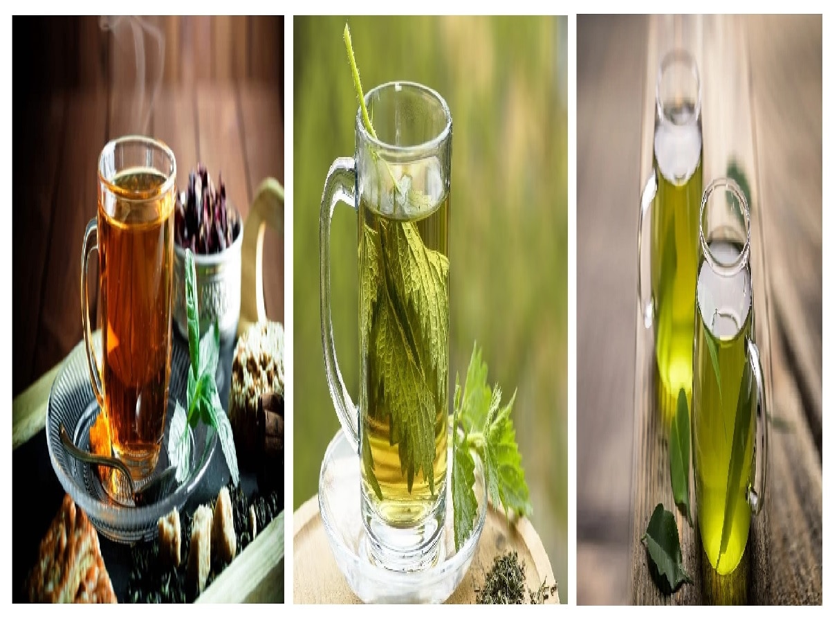 Health Benefit Of Tea কালো চা বা গ্রিন টি তো অনেক খেলেন গুণে ঠাসা এই চা ডায়াবেটিসের যম ভাল