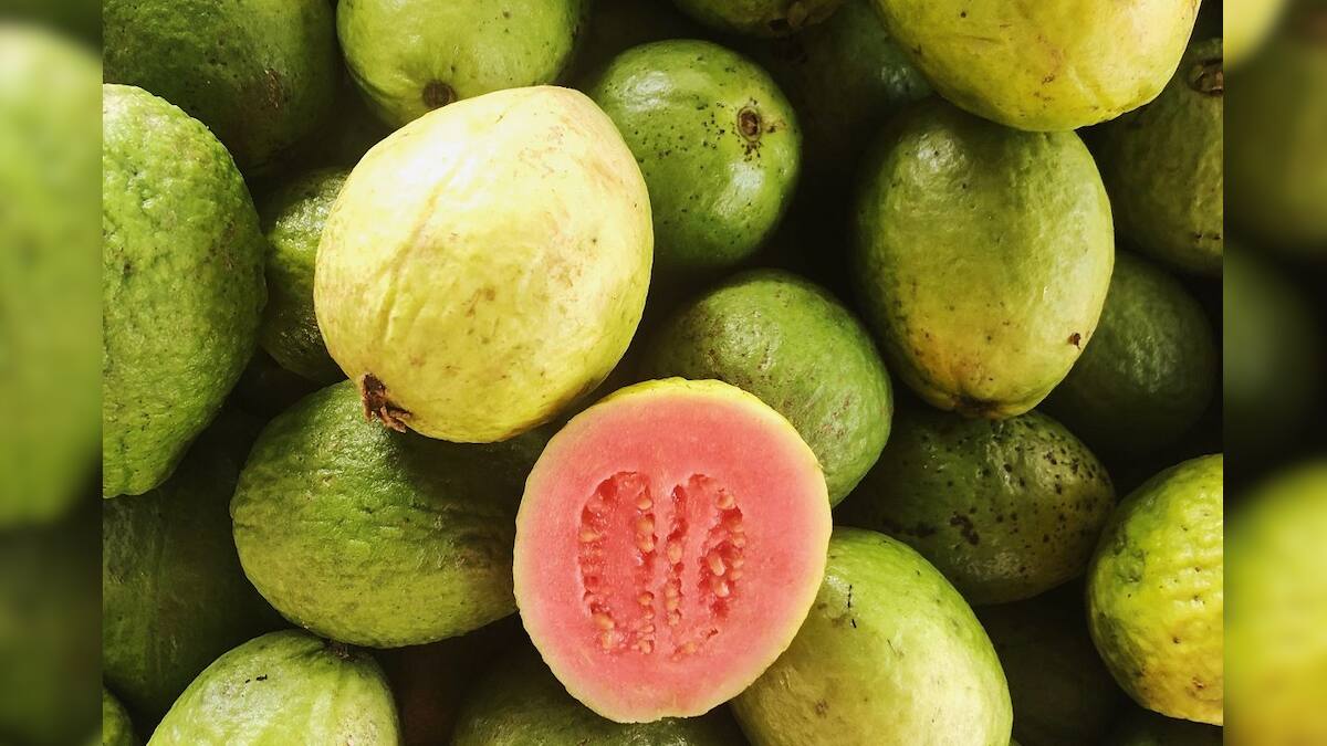 Guava eating tips: পেয়ারা খেয়েই ভুলেও খাবেন না এই কয়েকটি জিনিস, ফল ...