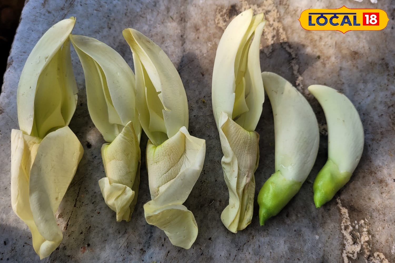 Health Benefits of Bokful ডাল-ভাতের সঙ্গে গরম গরম এই সাদা ফুলের বড়া ...