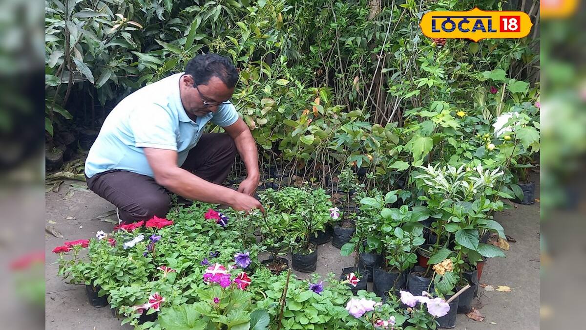 পরিবেশের ভারসাম্য ফেরাতে চার লক্ষের বেশি গাছ বিতরণ করেছেন জলপাইগুড়ির ...