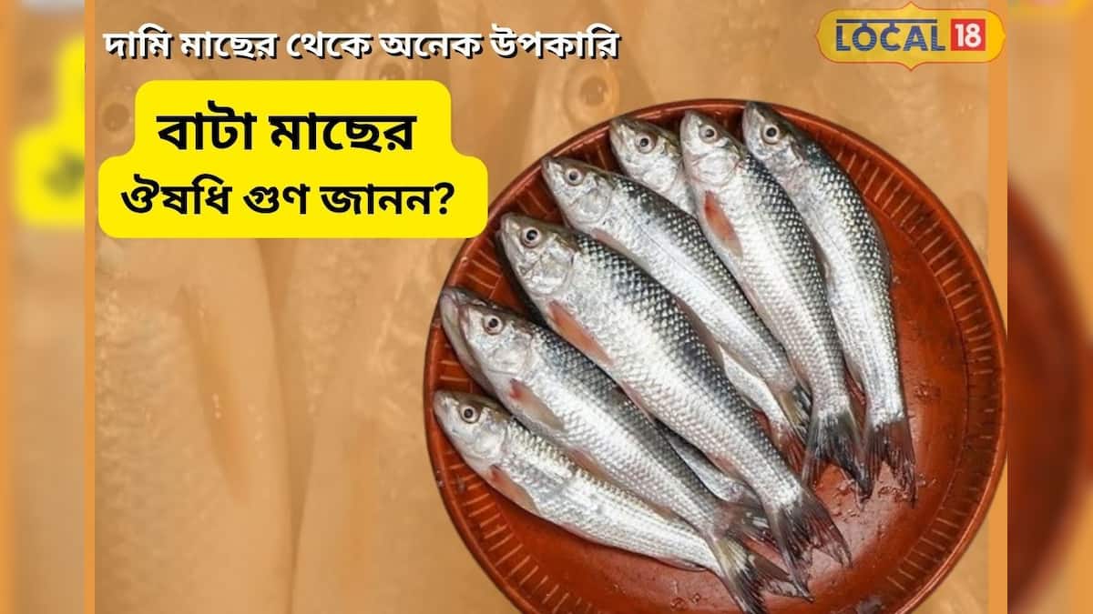 বাটা অত্যন্ত সহজে হজম হয়ে যায়। এতে ফ্যাটের পরিমাণ নির্দিষ্ট সীমার ...