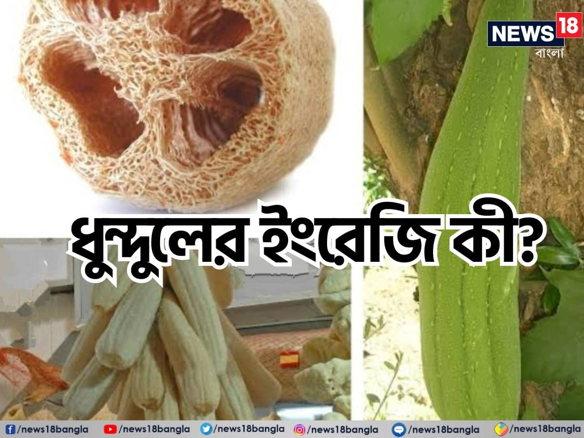 Knowledge Story Do You Know The English Of Green Vegetable Dhundul ...