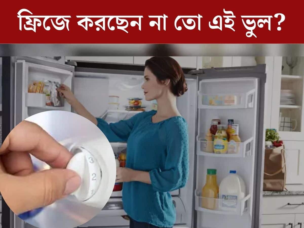 Fridge: বাড়ছে গরম, কত রাখছেন ফ্রিজের তাপমাত্রা? এই ভুলেই খারাপ হতে ...