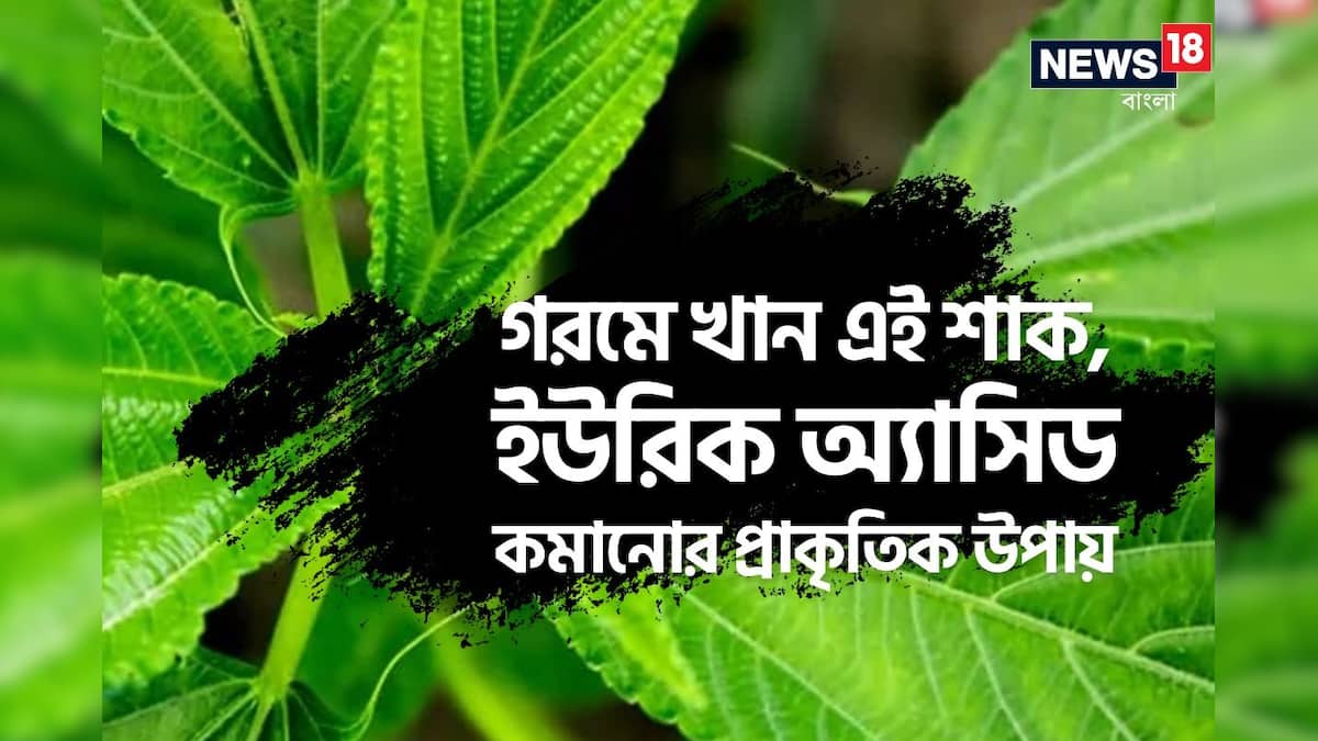 Patua saag Benefits: এক সপ্তাহে উপকার; জয়েন্টে জমে থাকা ইউরিক অ্যাসিড ...