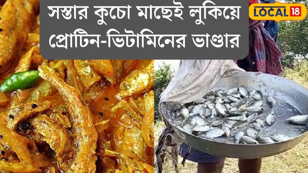 Puti Fish Benefits: ‘গরিবের মাছ’ বলে বাজারে এড়িয়ে যান? স্বাদে হিট ...