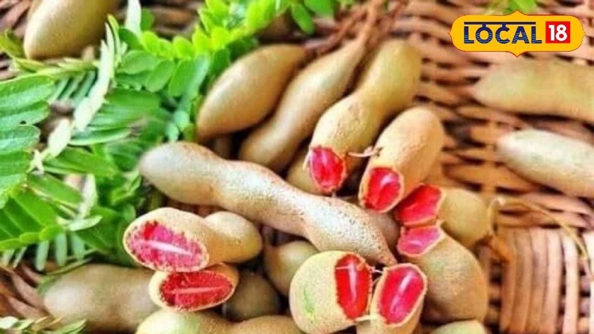 The gorgeous red sweet tamarind can be self-sufficient - News18 বাংলা