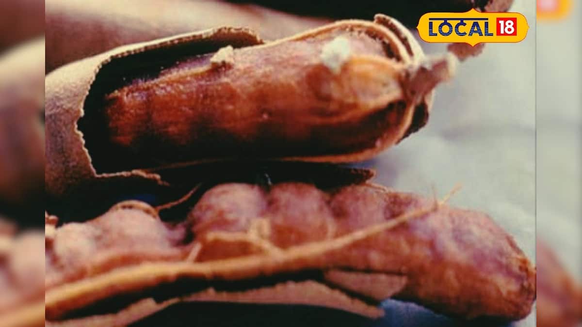 Tatul | ছুঁয়েও দেখেন না টকের জন্য! তেঁতুলের জল, চাটনি বা অম্বল খেলে ...