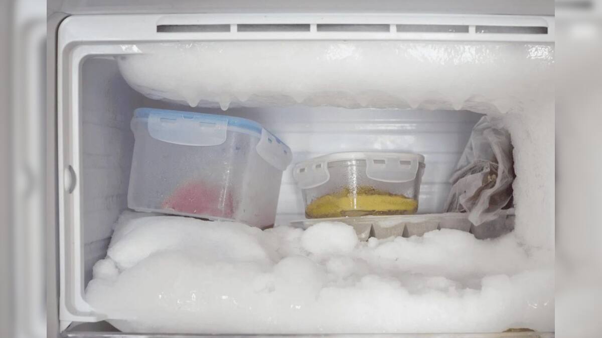 Fridge: সিঙ্গল ডোর ফ্রিজের 'ডিপ ফ্রিজারে' কেন জমে যায় বরফ? আসল কারণ কী ...