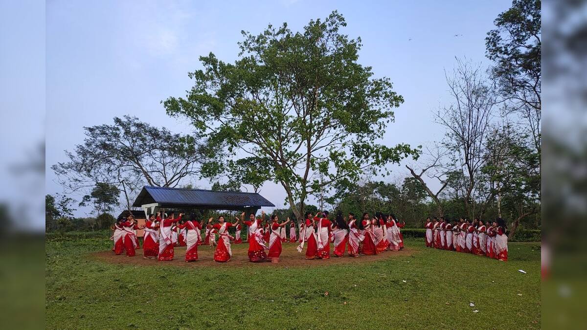 অসমের মটক উপজাতি গাছের তলায় বিহু উদযাপন করে | Bihu festival of Assam ...