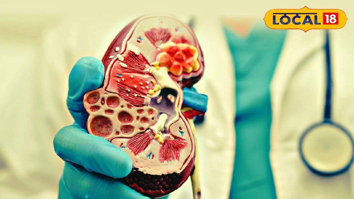 Kidney Health Tips: প্রবল গরমে কিডনি থাকবে সতেজ! কেবল 'এই' ৫ ফলেই শরীরে ...