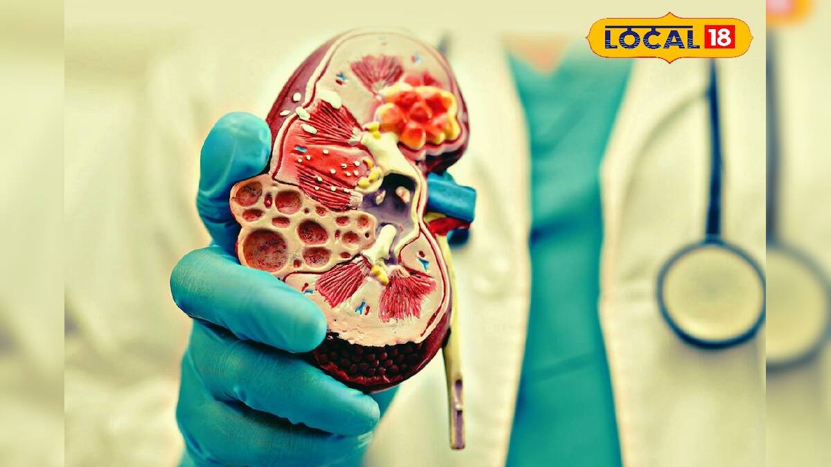 Kidney Health Tips: প্রবল গরমে কিডনি থাকবে সতেজ! কেবল 'এই' ৫ ফলেই শরীরে ...