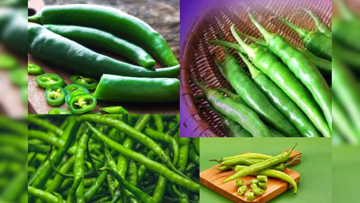 Green Chilli Side Effects: যতই ভাল লাগুক, ভুলেও কাঁচালঙ্কা খাবেন না এঁরা! জানুন কারা কাঁচালঙ্কা ...