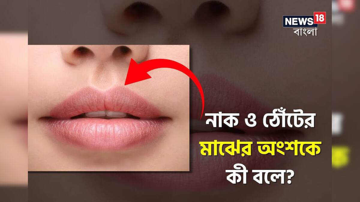 General Knowledge Story: নাক আর ঠোঁটের মাঝের অংশকে কী বলে? উত্তর দিতে পারেনি কেউ! আপনি জানেন?