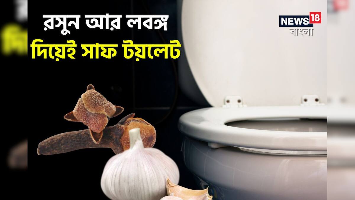 Toilet Cleaning tips with Garlic: সামান্য কয়েক কোয়া রসুন আর লবঙ্গ ...