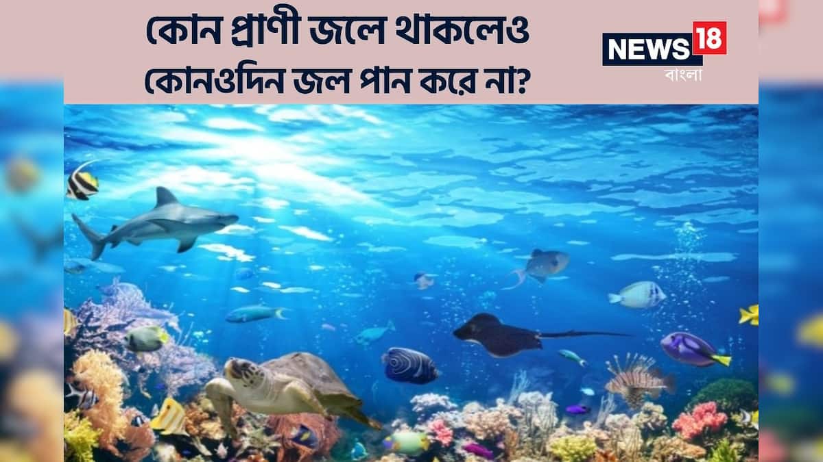 Knowledge Story Which animal lives in water but never drinks water ...