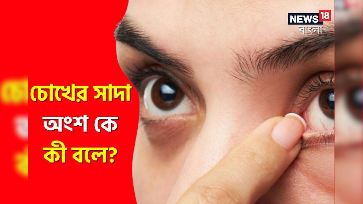 General Knowledge Story: কালো অংশের নাম তো মণি, জানেন চোখের সাদা অংশের ...