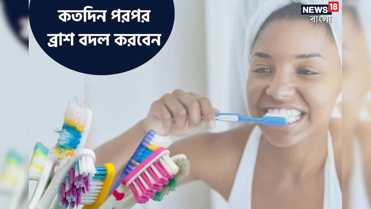 Tooth Health Tips: কতদিন পরপর ব্রাশ বদল করা উচিত জানেন তো? 'এই' ছোট্ট ...