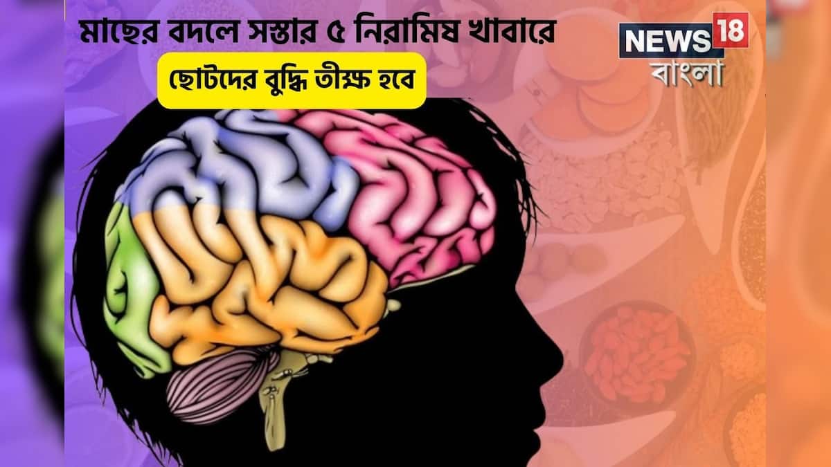 মাছ বা অন্যান্য সামুদ্রিক খাবার ওমেগা ৩ ফ্যাটি অ্যাসিডের সেরা উৎস বলে ...