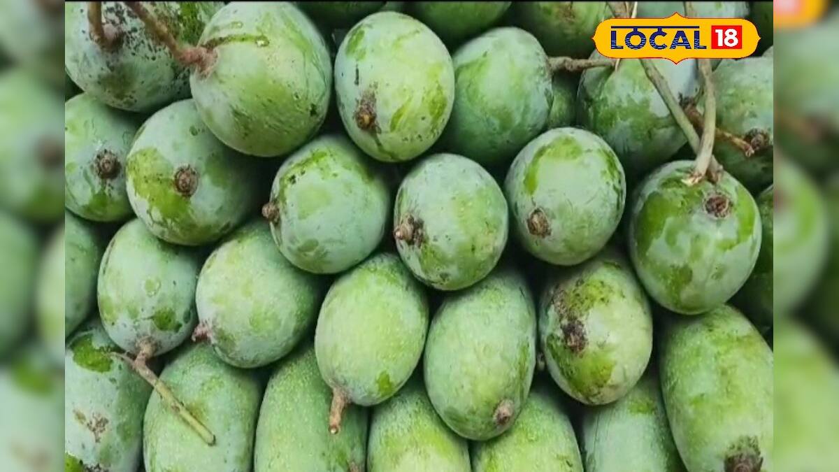 Malda Mango: কাঁচা অবস্থায় খেলেই তৃপ্তি, মালদহে রয়েছে এমন এক প্রজাতির ...