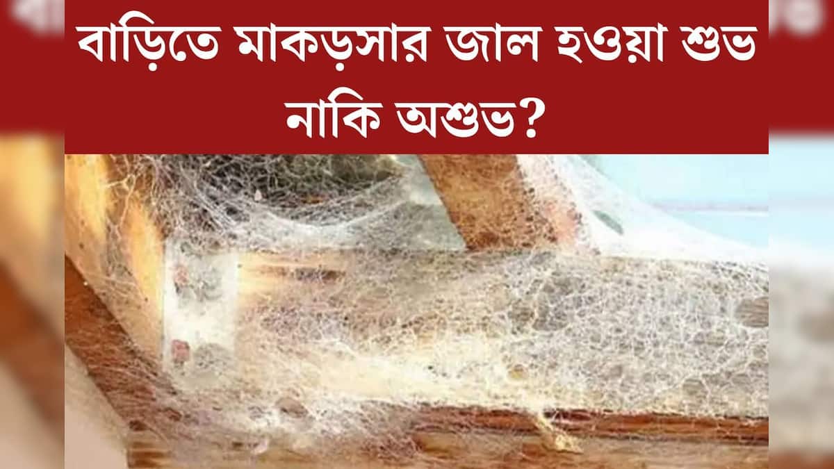 Vastu Tips: বাড়িতে মাকড়সার জাল হওয়া শুভ নাকি অশুভ? কী বলছে ...