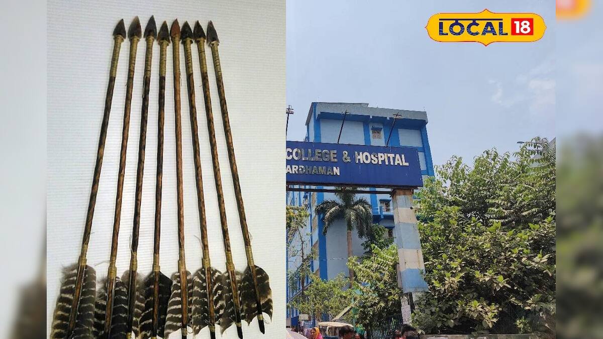 Arrow Wounded Woman: ছুরি বা গুলি নয়... পারিবারিক বিবাদে জেরে ছোড়া ...