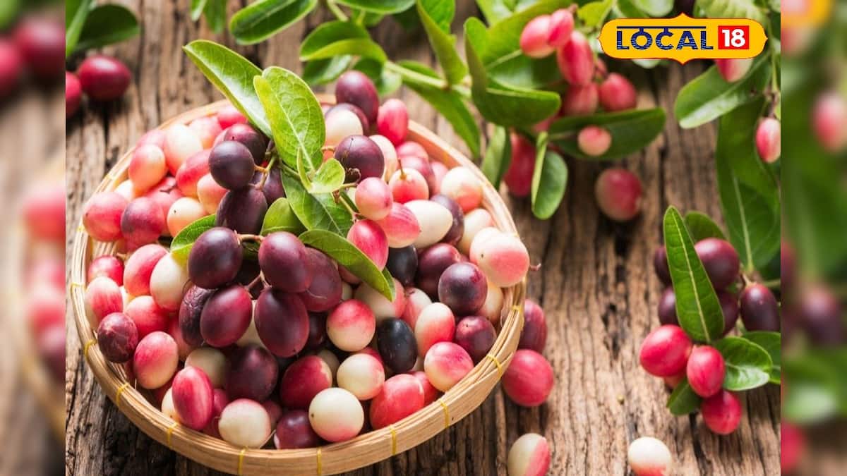 Karamcha Health Benefits: কিডনি, লিভার, হৃদ-রোগে ভুগছেন? চেনা, সস্তার ...