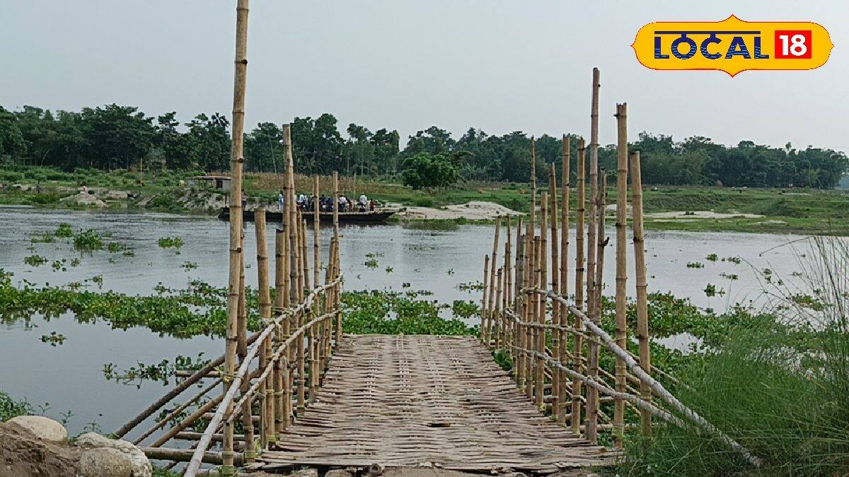 ঘূর্ণিঝড় রিমলে জাল ছেঁড়ায় গ্রামে বাঘ ঢুকে পড়ার আতঙ্কে ভুগছে ...