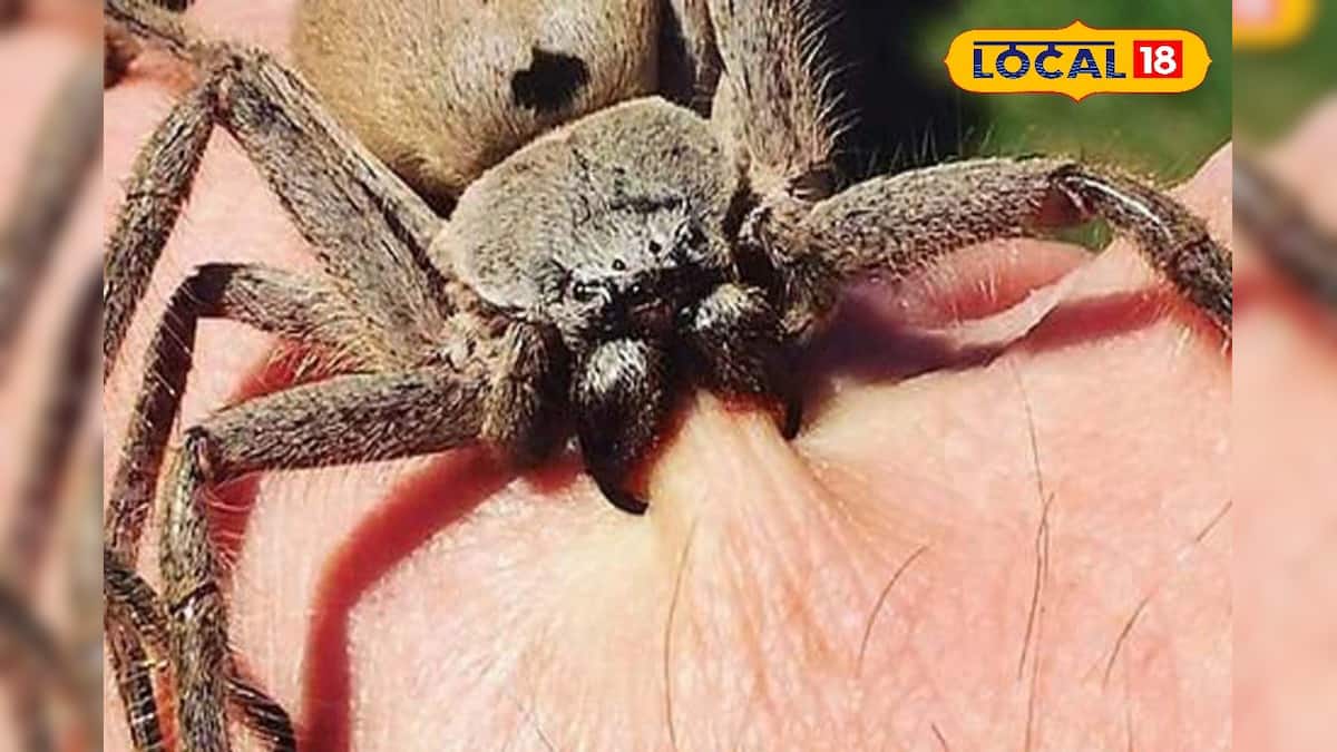 অসুস্থ ওই মহিলা বর্তমানে ইসলামপুর মহকুমা হাসপাতালে চিকিৎসাধীন রয়েছেন ...