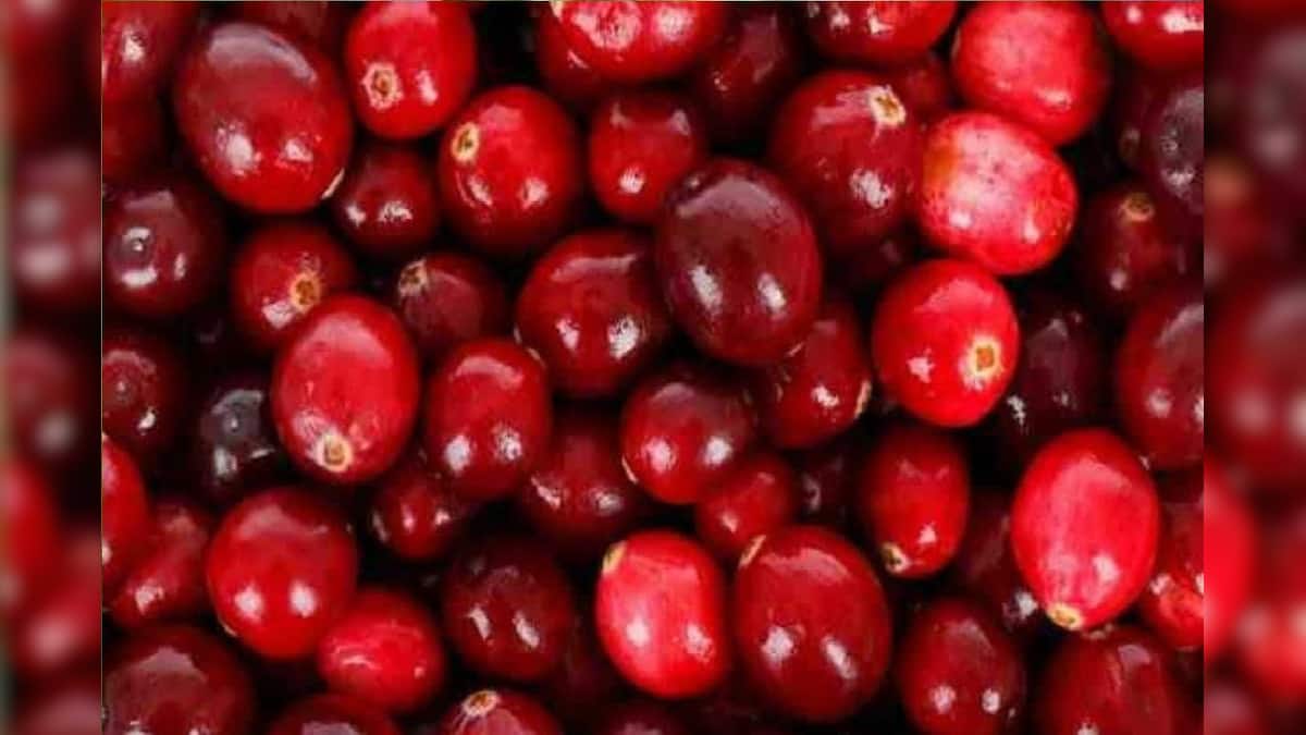 Health Tips | কুল বা চেরি নয়! সস্তার এই ফল বহু রোগের বংশ করে ধংস ...