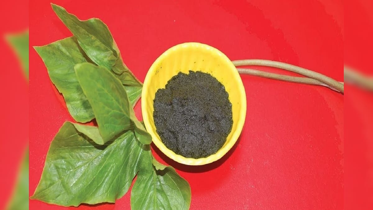 Indian Spinach Kharkol Pata ব্যথা-সর্দি-কাশি কমাতে ওস্তাদ! ত্বক হবে ...