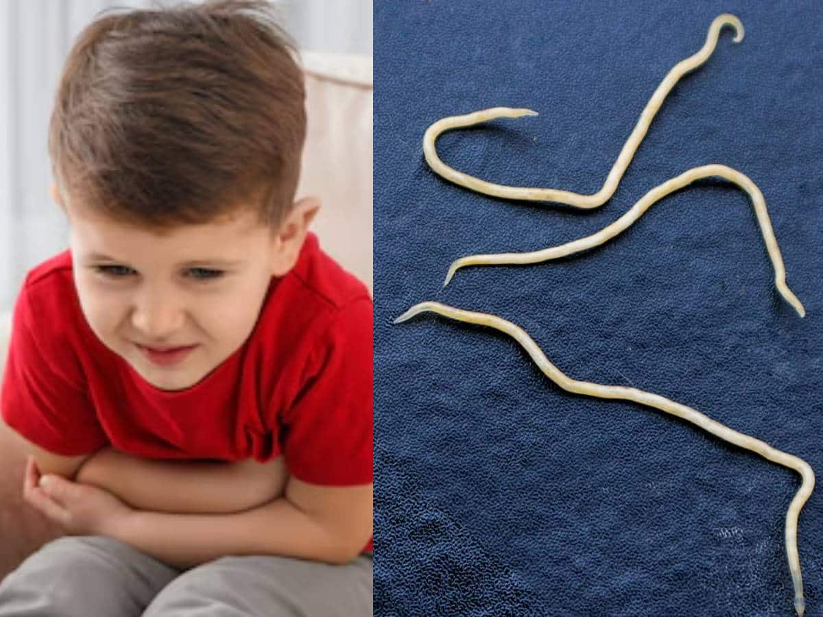 Stomach Worm in Children: শিশুর পেটে কিলবিল করছে কৃমি! হতে পারে বড় ...