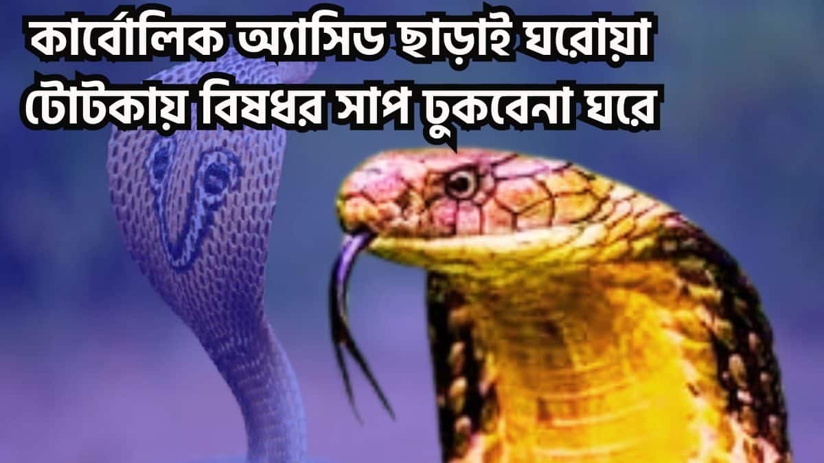 Poisonous Remedy: কার্বোলিক অ্যাসিড ছাড়াই সাপ তাড়াতে পারেন, বাড়ি হবে ...