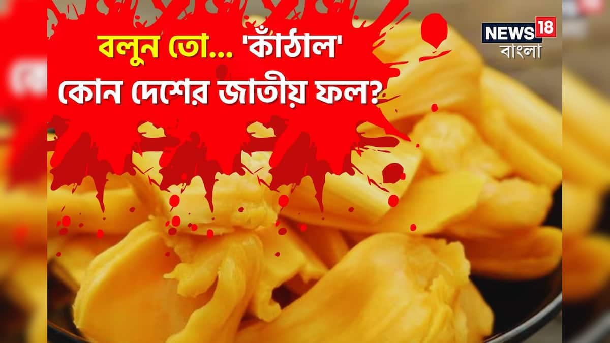 Jackfruit: কাঁঠাল কোন দেশের 'জাতীয় ফল' বলুন তো...? সঠিক 'উত্তর' শুনলে ...