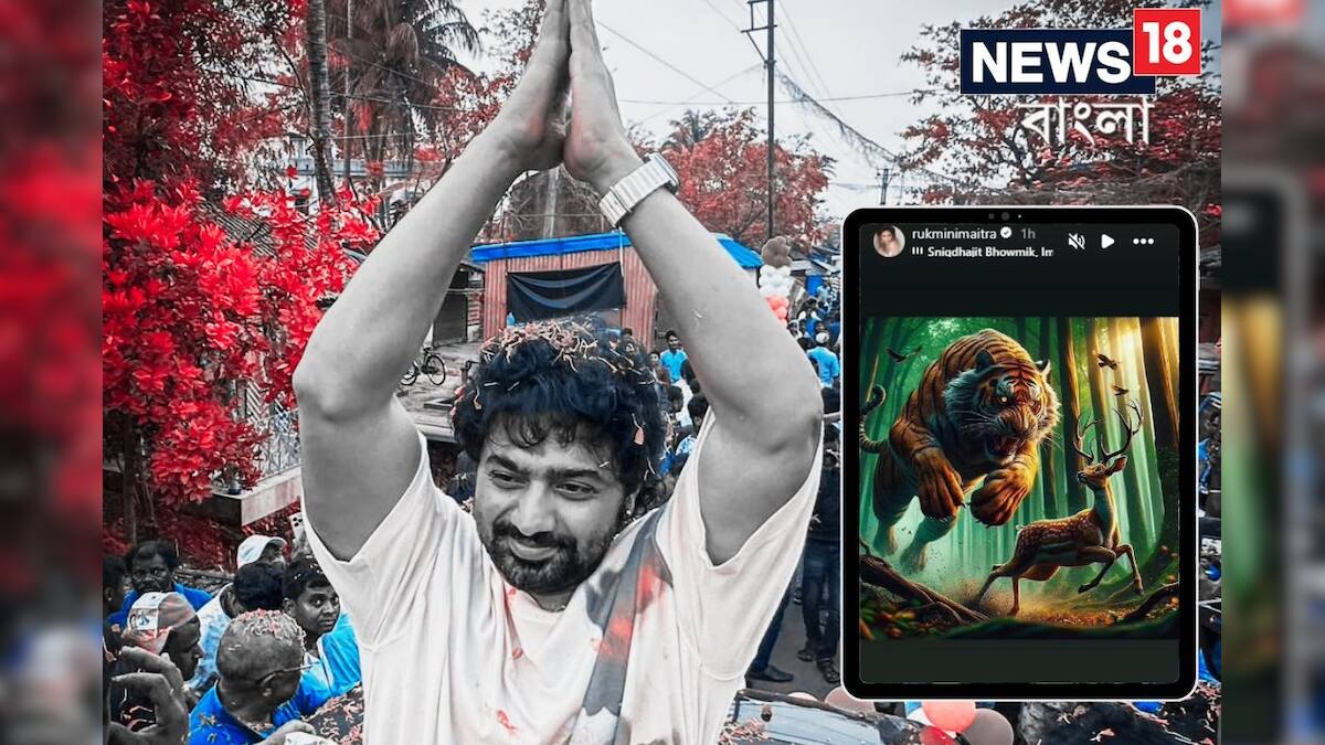 Rukmini on Dev-Hiran: রয়্যাল বেঙ্গলের হরিণ শিকার! ঘাটালে দেব জিততেই মজার পোস্ট রুক্মিণীর! হরিণ ...