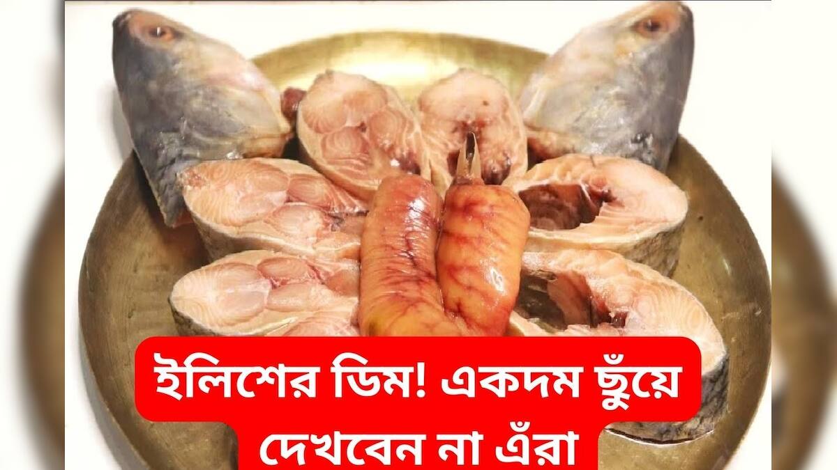 Hilsa Fish Side Effects: জানেন কাদের ইলিশের ডিম একদম খাওয়া উচিত নয় ...