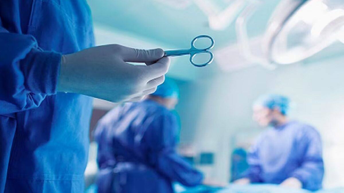 EIBMCT Meet 2024 for Bone Marrow Transplant: বোন ম্যারো ...